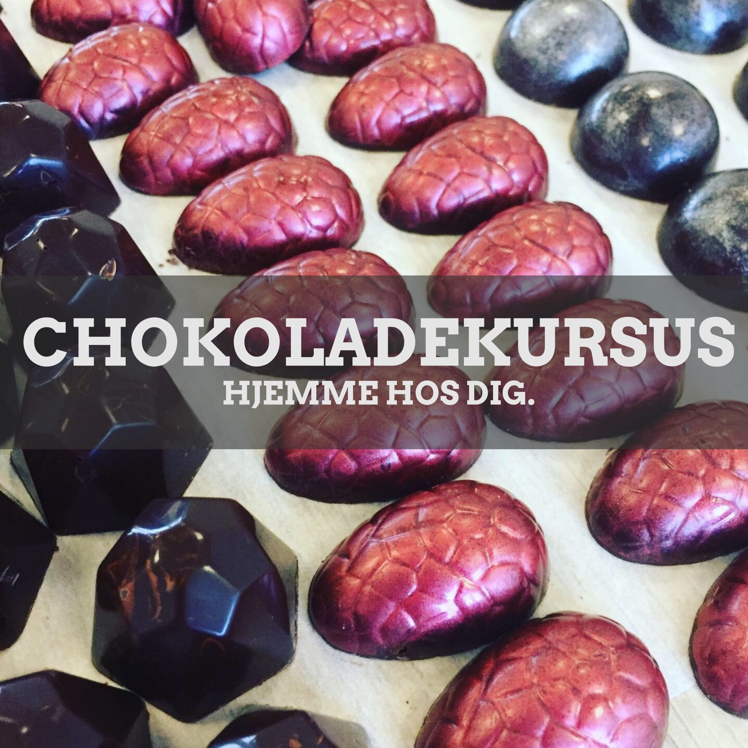 Chokoladekursus for begyndere - KagerForAlle